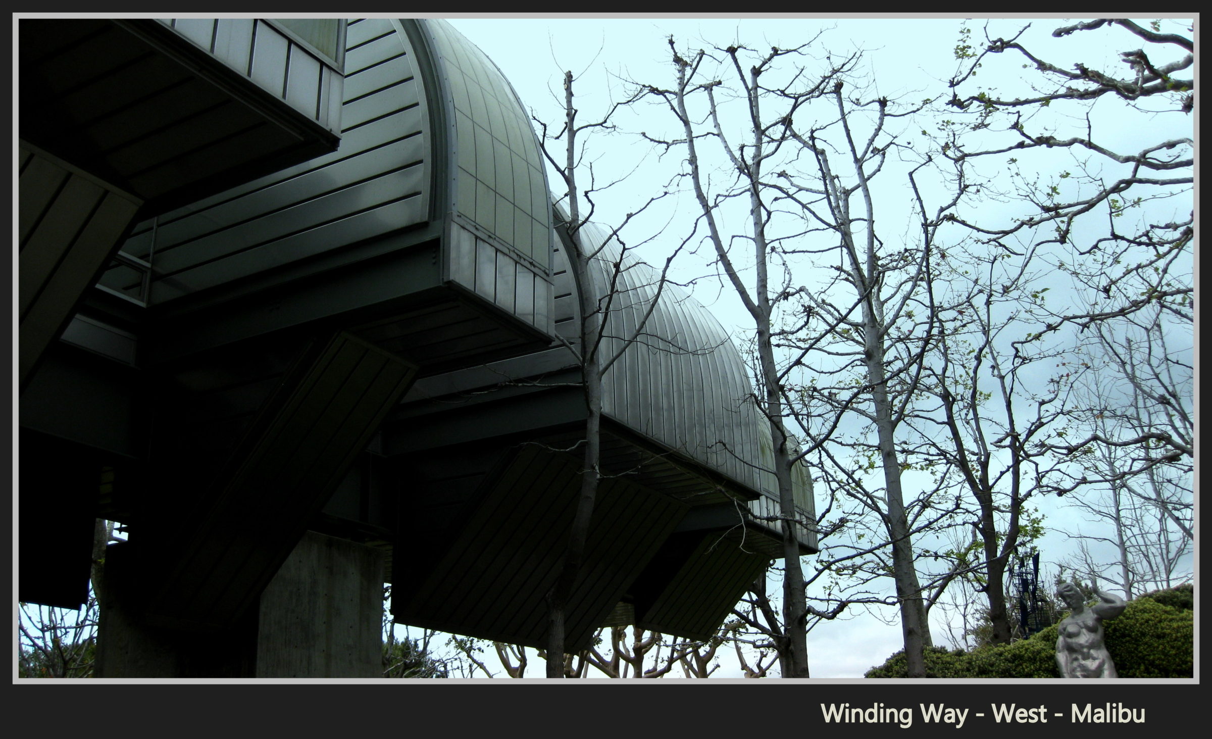 Winding Way Malibu - Malibu Tree & Landscape